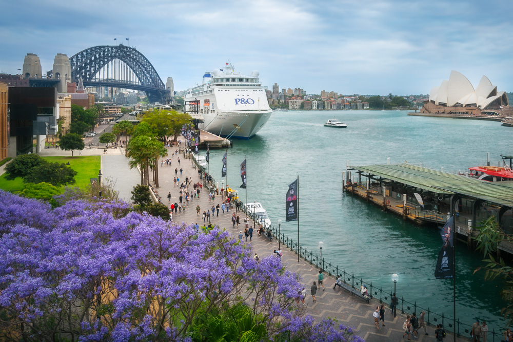 Springtime in Sydney is all about Jacarandas - Daniela Constantinescu ...